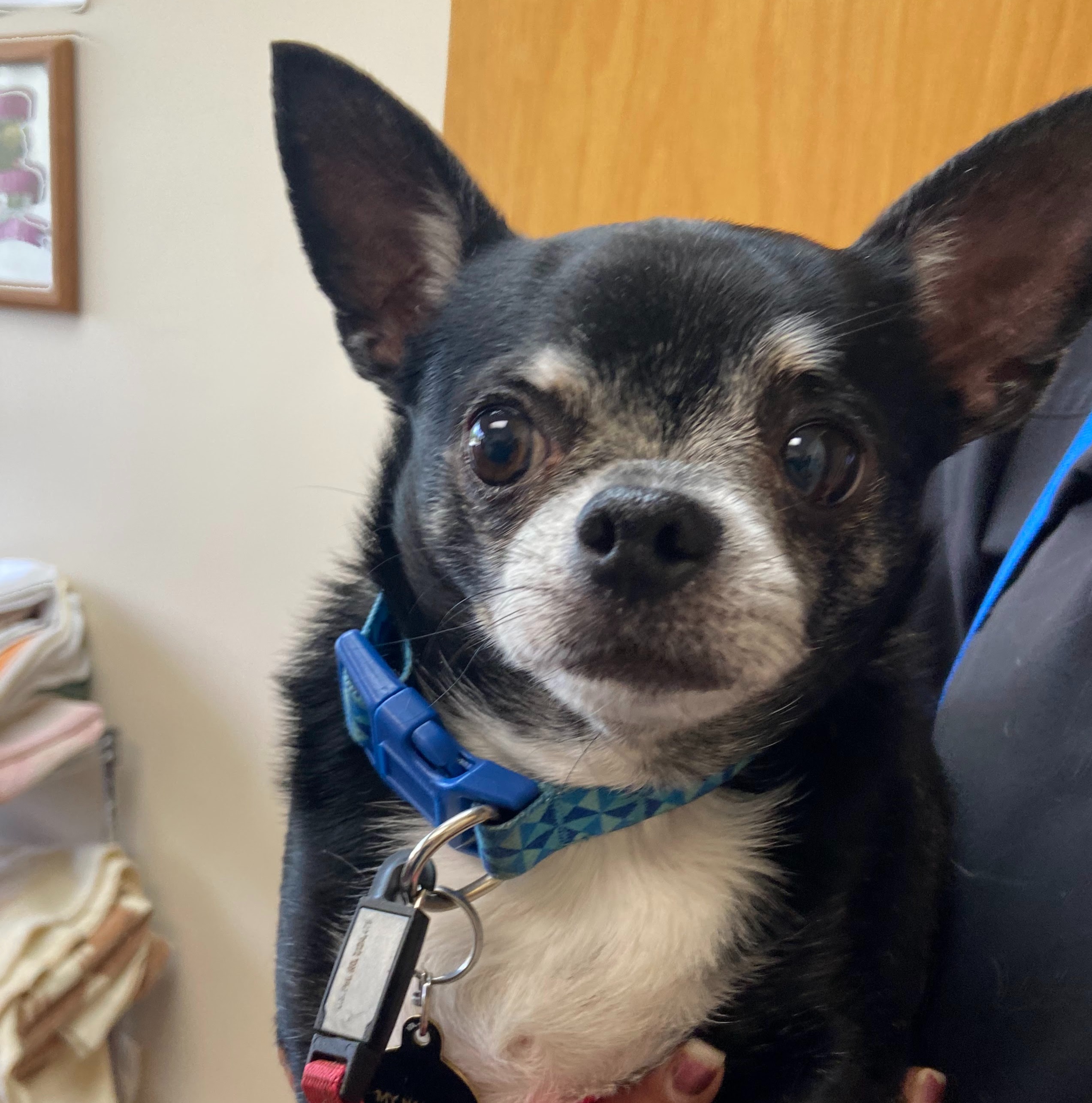 General FAQs | CSNIP