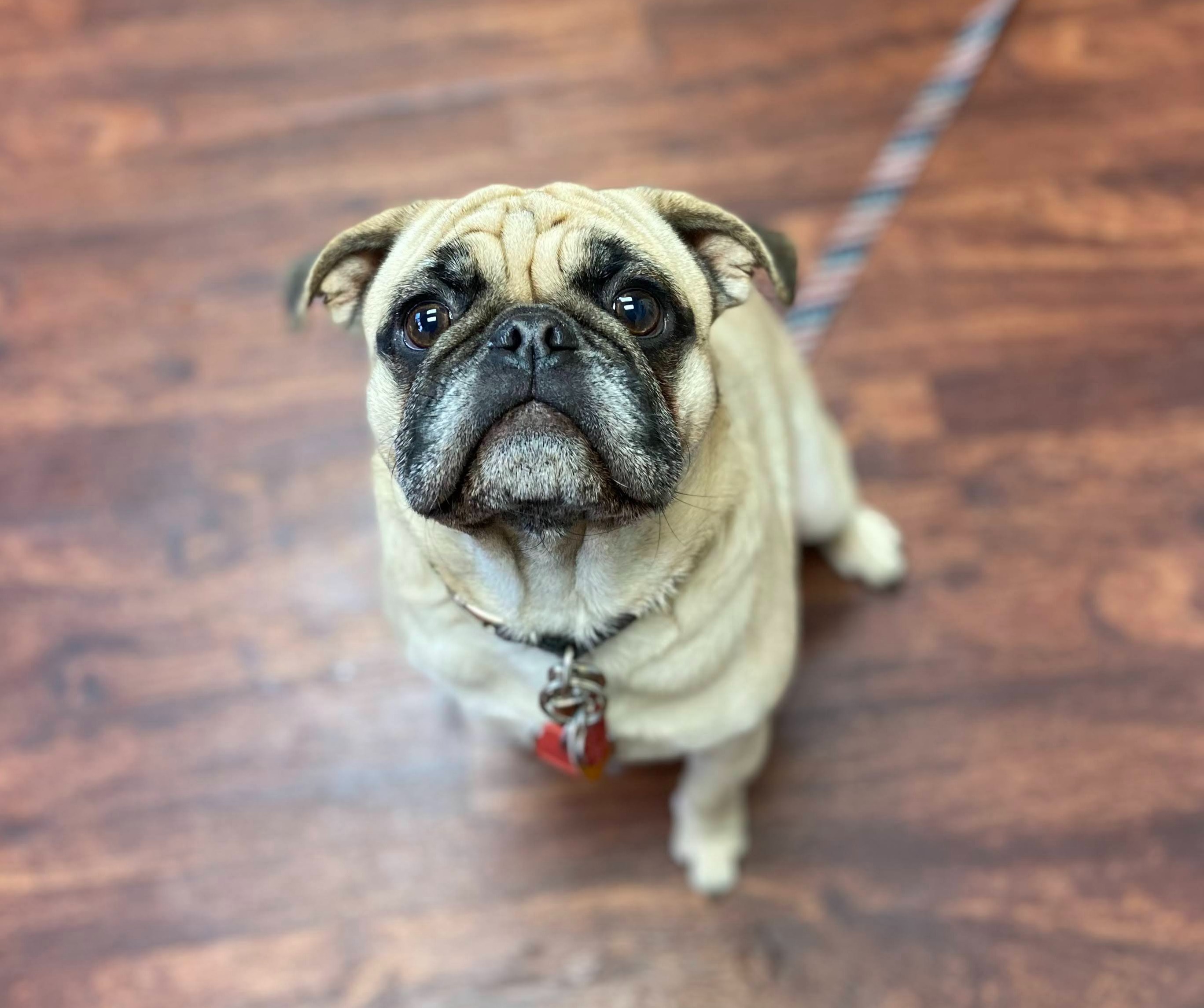 Treatment Packages | CSNIP