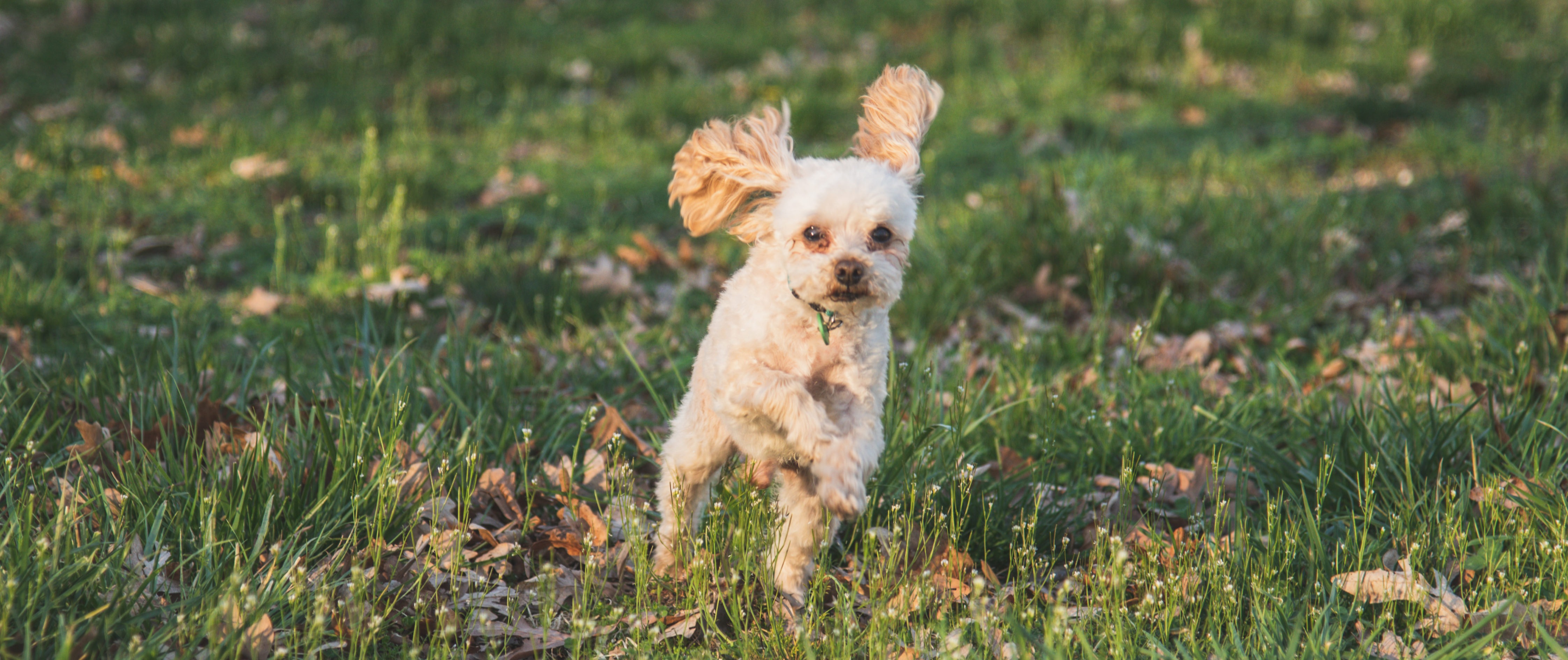 Connect With Us | CSNIP