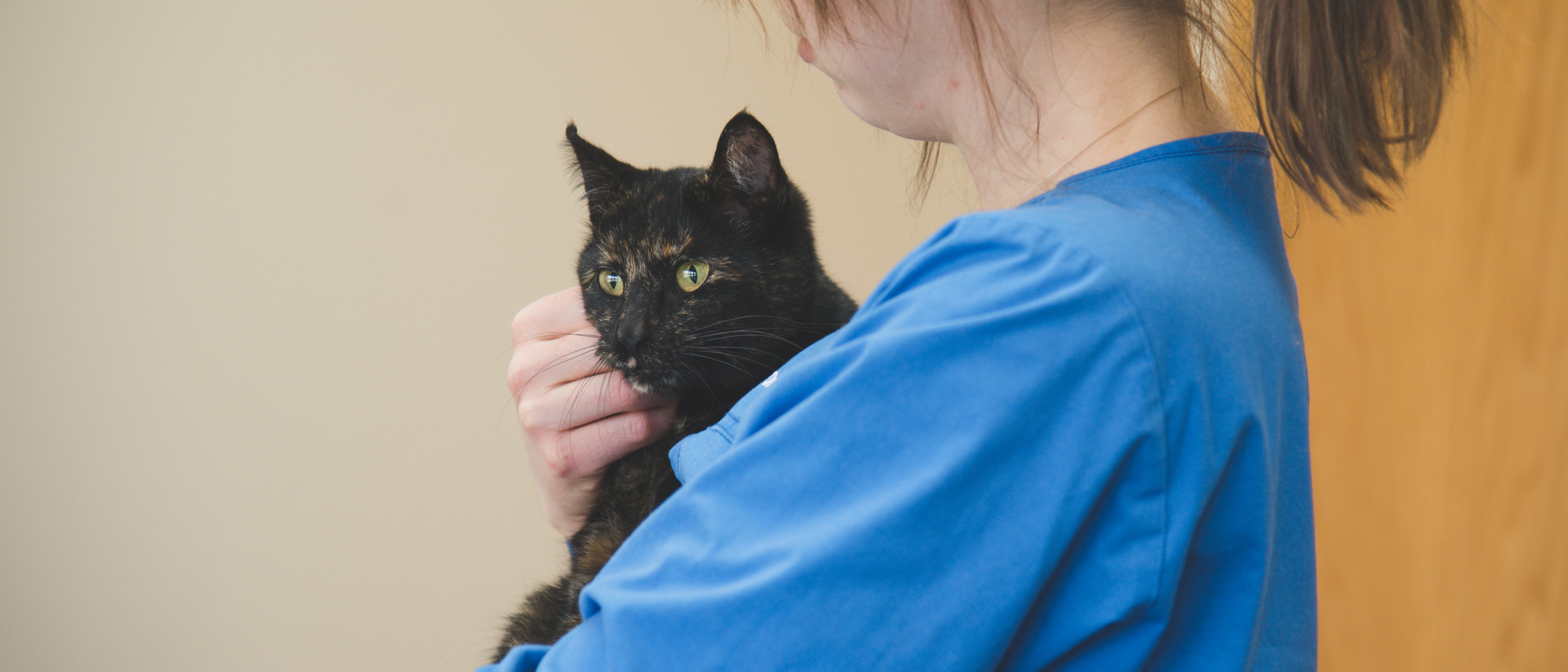 Treatment Packages | CSNIP