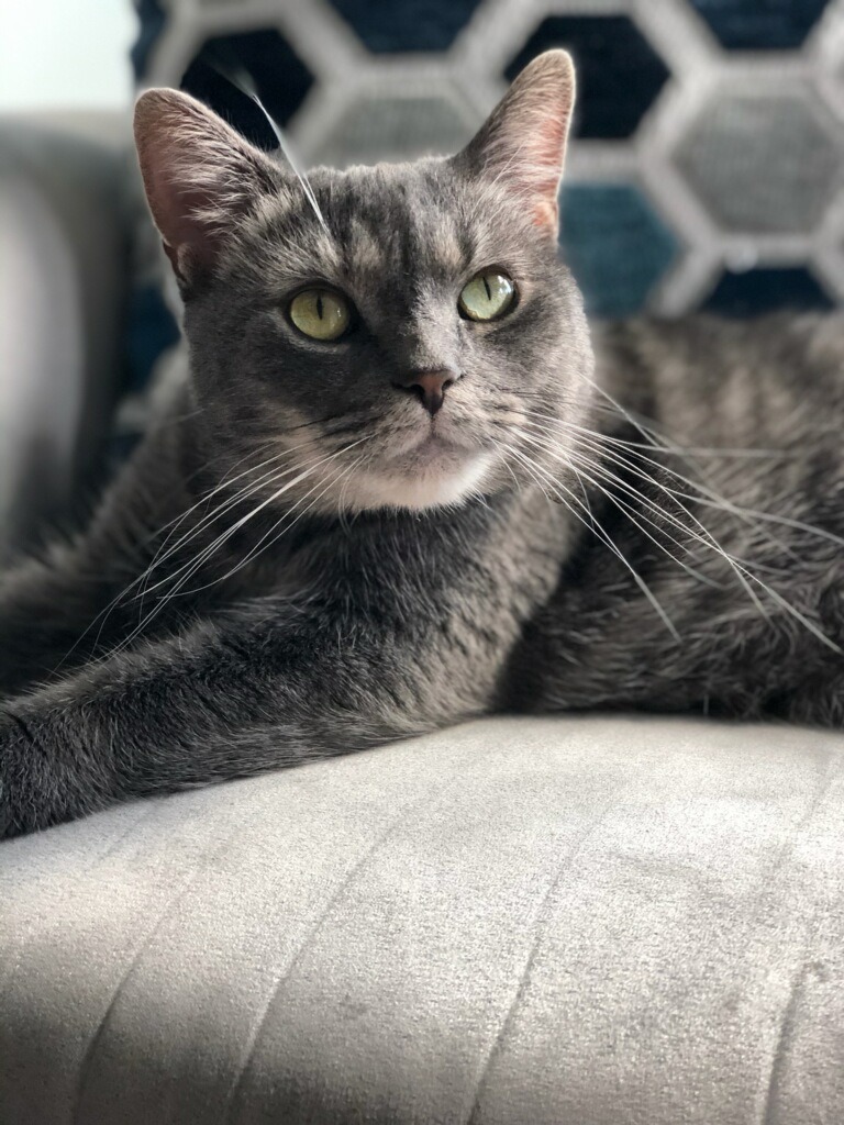 Connect With Us | CSNIP